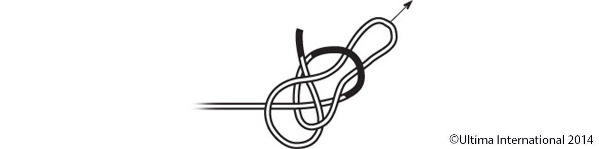 How to Tie Perfection Loop Knot: The Best Way - Ultima UK